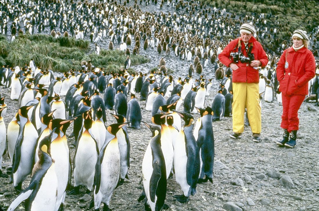 RTPI presents Roger Tory Peterson’s Penguins | News, Sports, Jobs ...